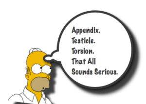 Appendix Testis Torsion — Pediatric EM Morsels