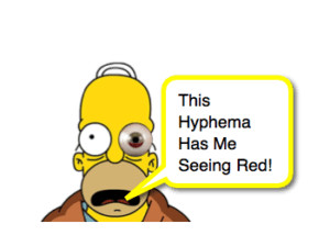 Hyphema — Pediatric EM Morsels